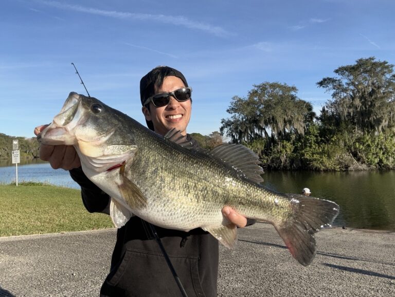 January 2024 | MONSTER BAIT DEVELOPMENT