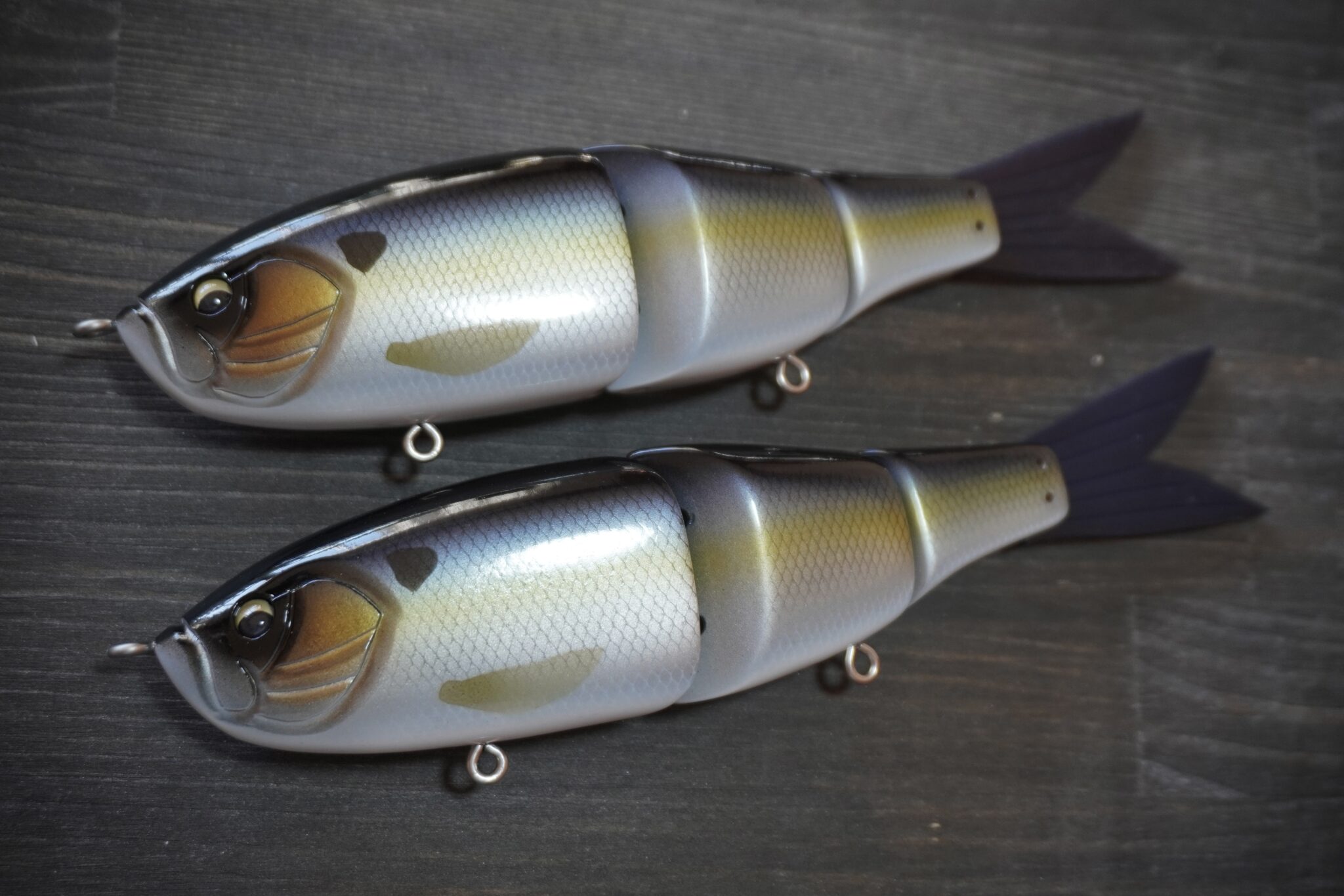 EDEN8 | MONSTER BAIT DEVELOPMENT