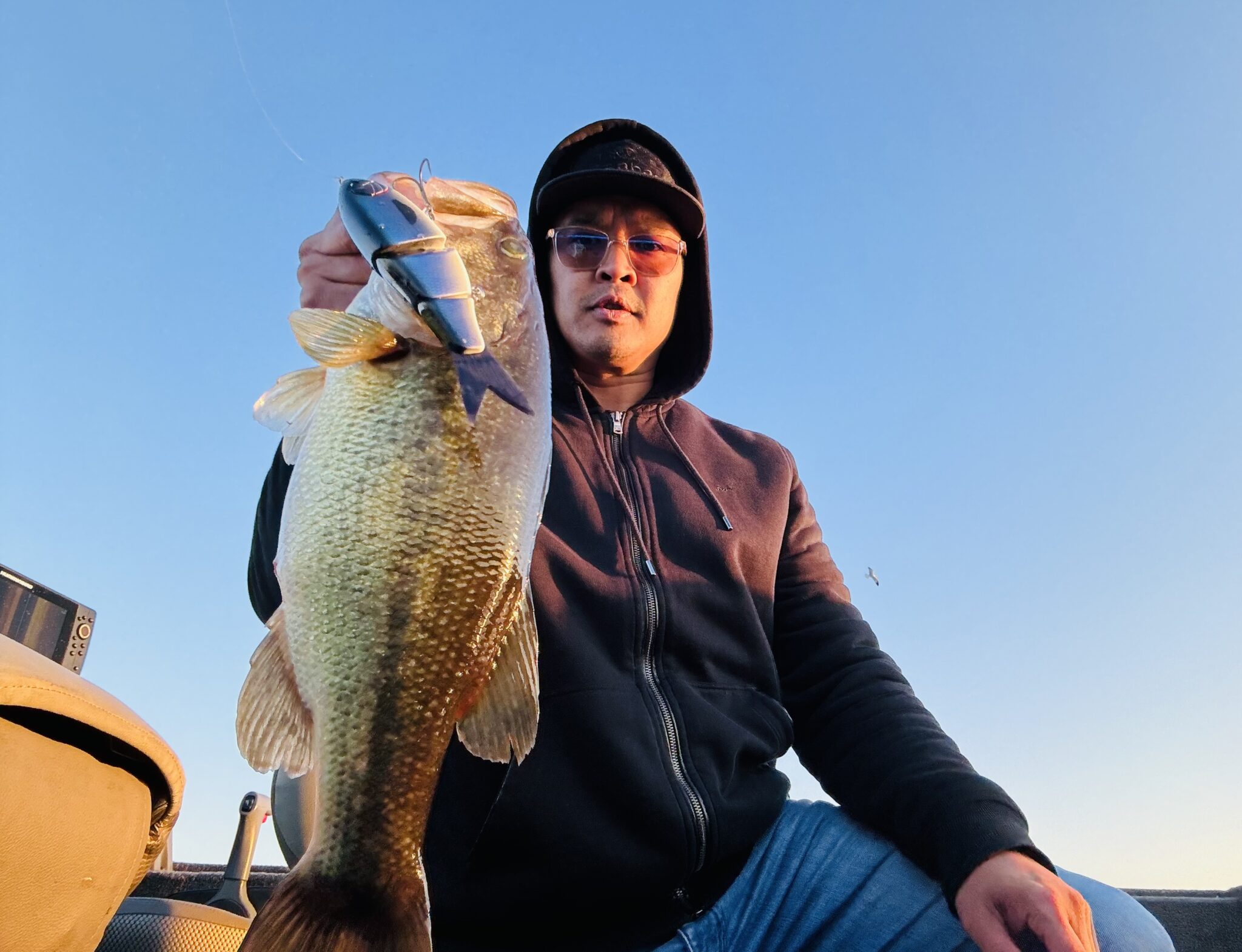 November 2024 | MONSTER BAIT DEVELOPMENT