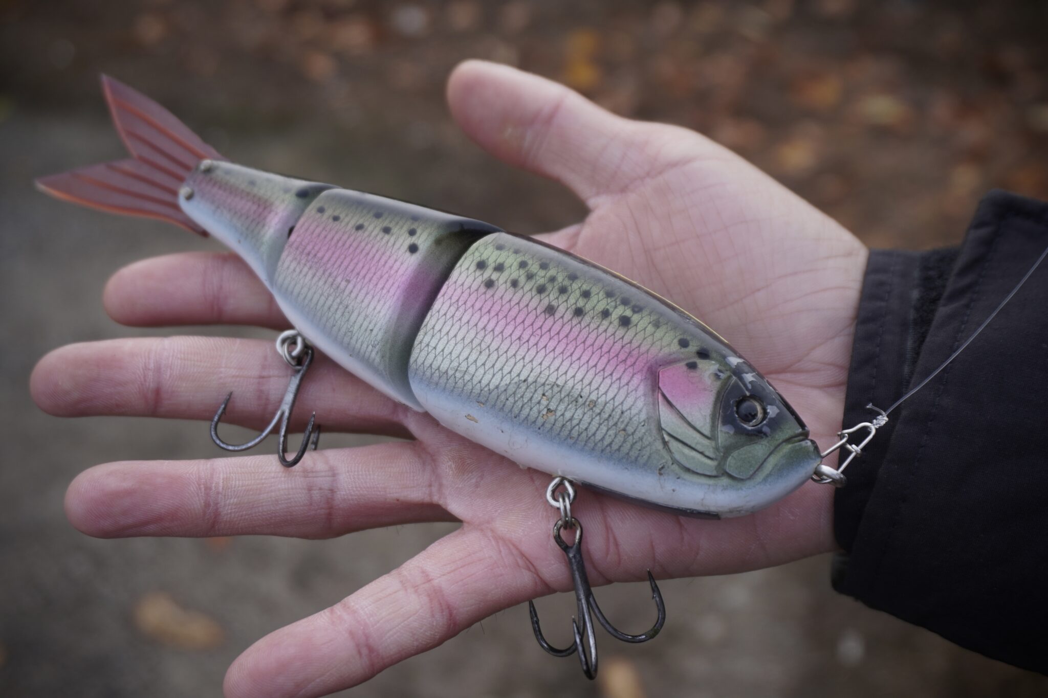 MONSTER BAIT DEVELOPMENT