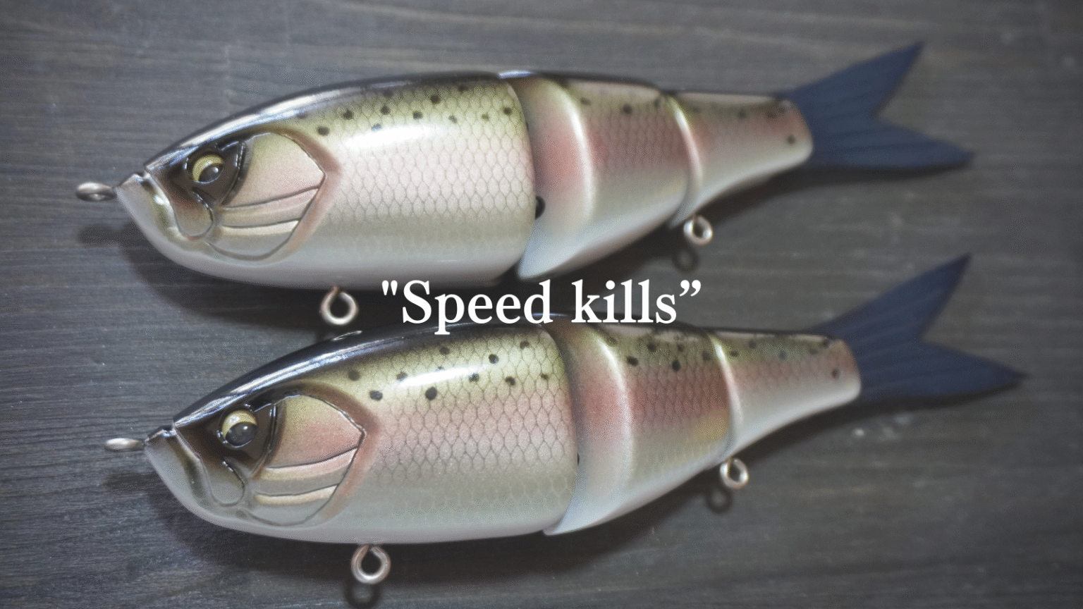 MONSTER BAIT DEVELOPMENT